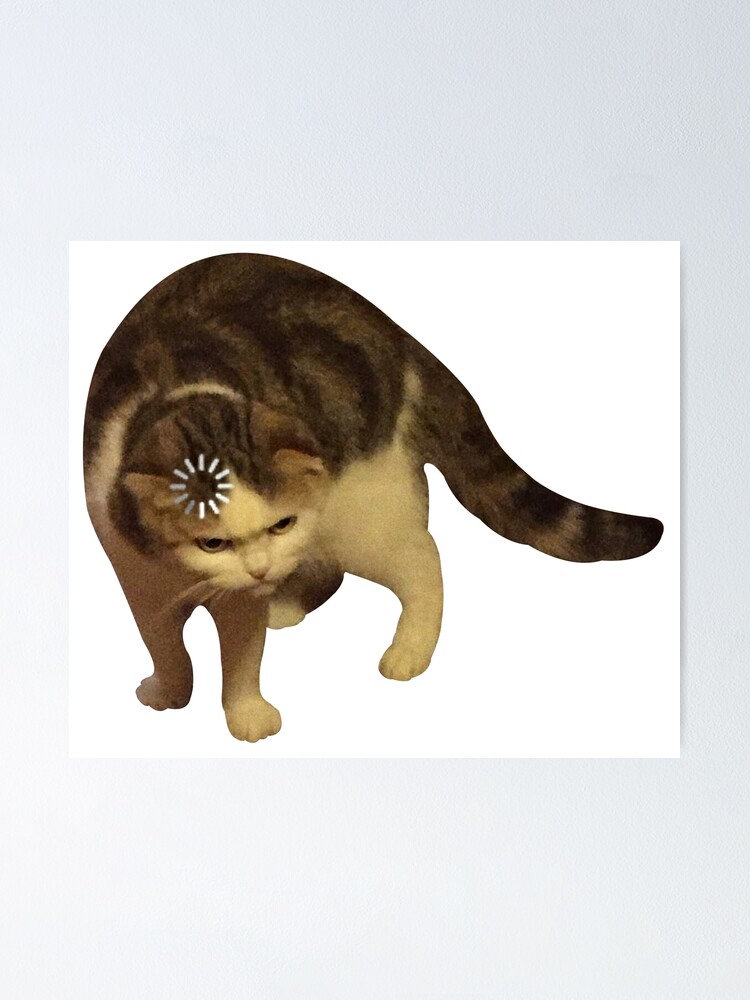 "HD Loading Cat Meme" Poster by dylano1803 | Redbubble