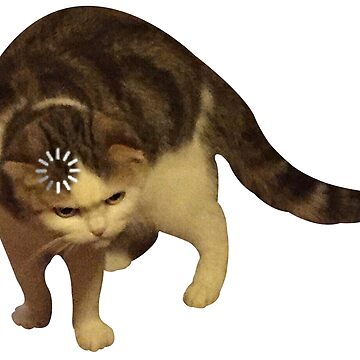 "HD Loading Cat Meme" Photographic Print for Sale by Clean Woods ...