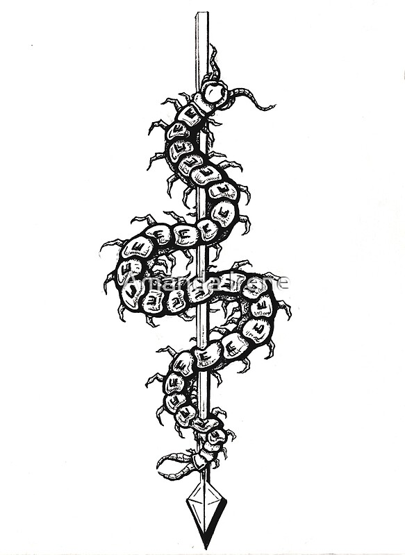 "Centipede Flash" by Amanda Irene | Redbubble