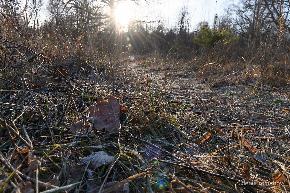 "December without Snow" by denis-romanov | Redbubble