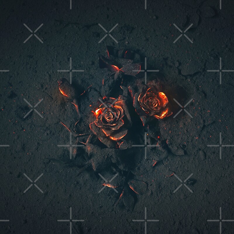 "Smoldering Fire Rose" by quinnhopp | Redbubble