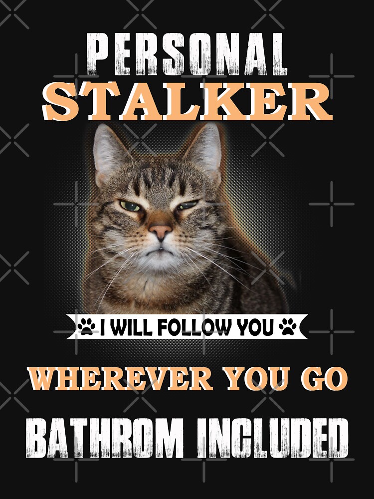 Cat Stalker Memes