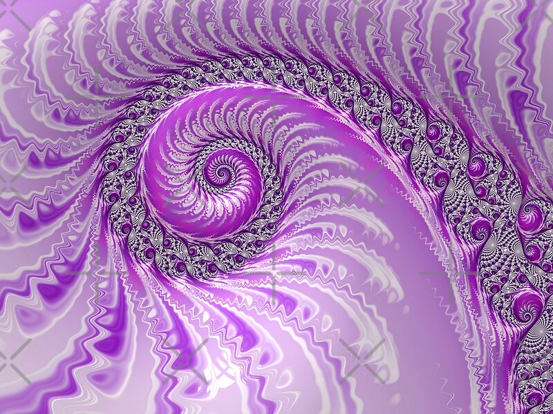 "Attractive Lavender Spiral" by Elisabeth Lucas | Redbubble
