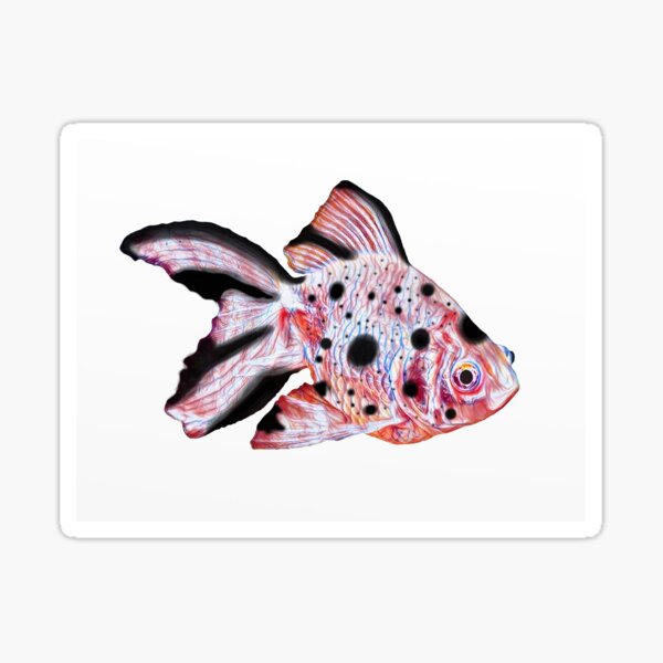 "Angelfish" Sticker for Sale by Kakilli | Redbubble