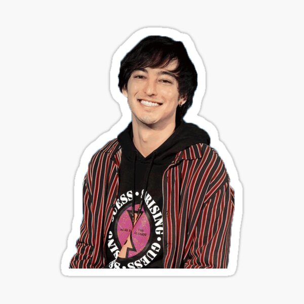 "joji" Sticker for Sale by marinarasaucee | Redbubble