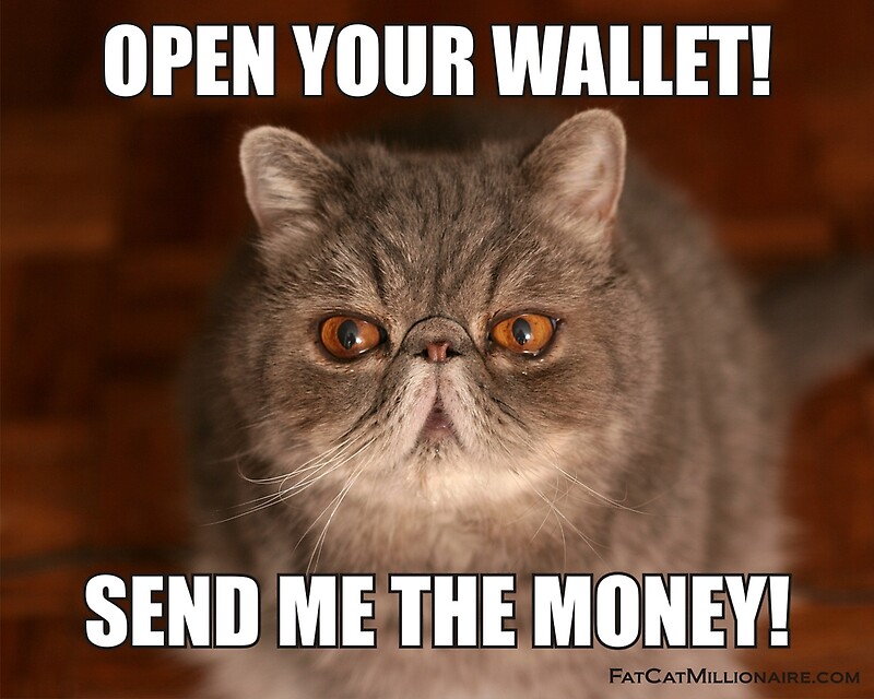 "Open Your Wallet! Send Me The Money!" by FatCatBlueberry | Redbubble