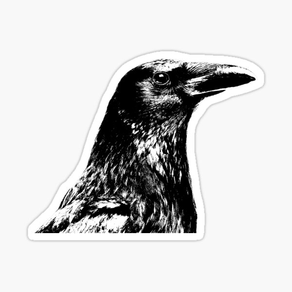 "The Crow" Sticker for Sale by Rocket-To-Pluto | Redbubble