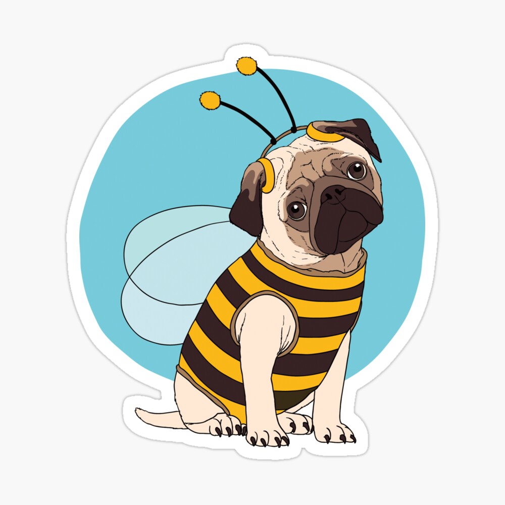 Pug Bee | canoeracing.org.uk