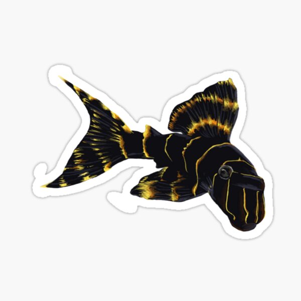 Pleco Stickers | Redbubble