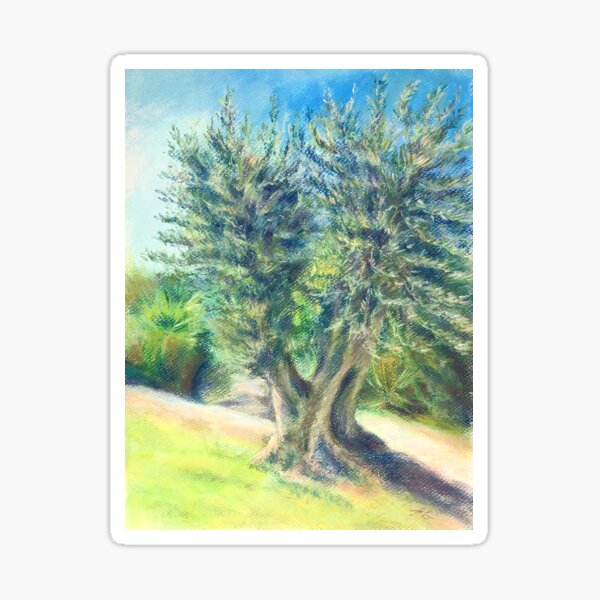 "Olive Tree in Old Jaffa" Sticker for Sale by allgor8 | Redbubble