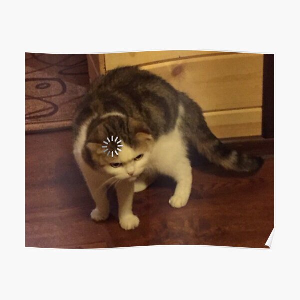 Póster «Cargando Buffering Cat Meme» de jamdonut1 | Redbubble