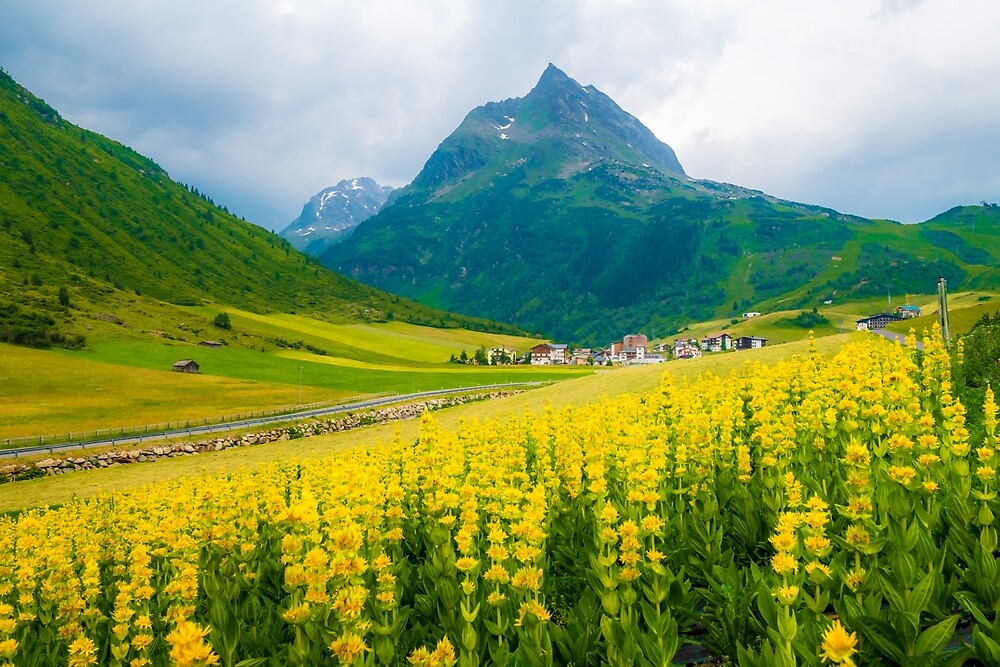 "Alpine summer, Austria" by PeterCseke | Redbubble