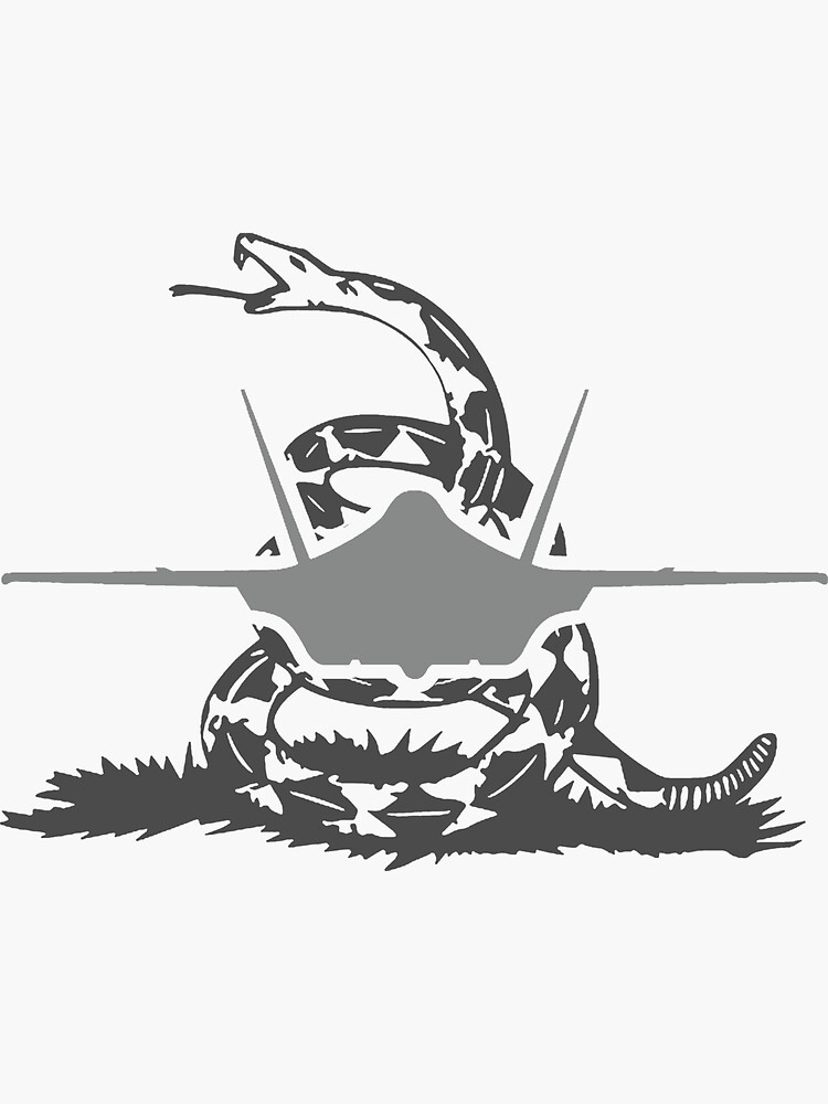 "F-35 Lightning Don't tread on me rattlesnake Painted american flag ...