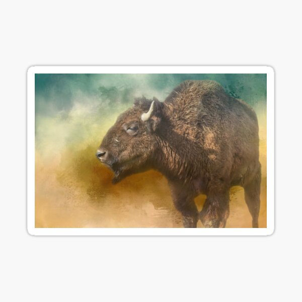 "American Buffalo" Sticker by fineart2017 | Redbubble