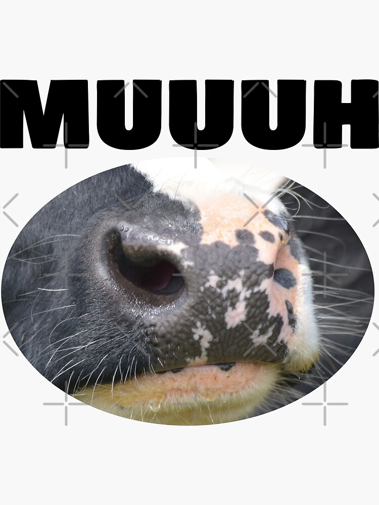 "Muuuh" Sticker for Sale by phys | Redbubble