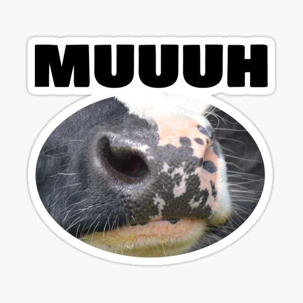 "Muuuh" Sticker for Sale by phys | Redbubble