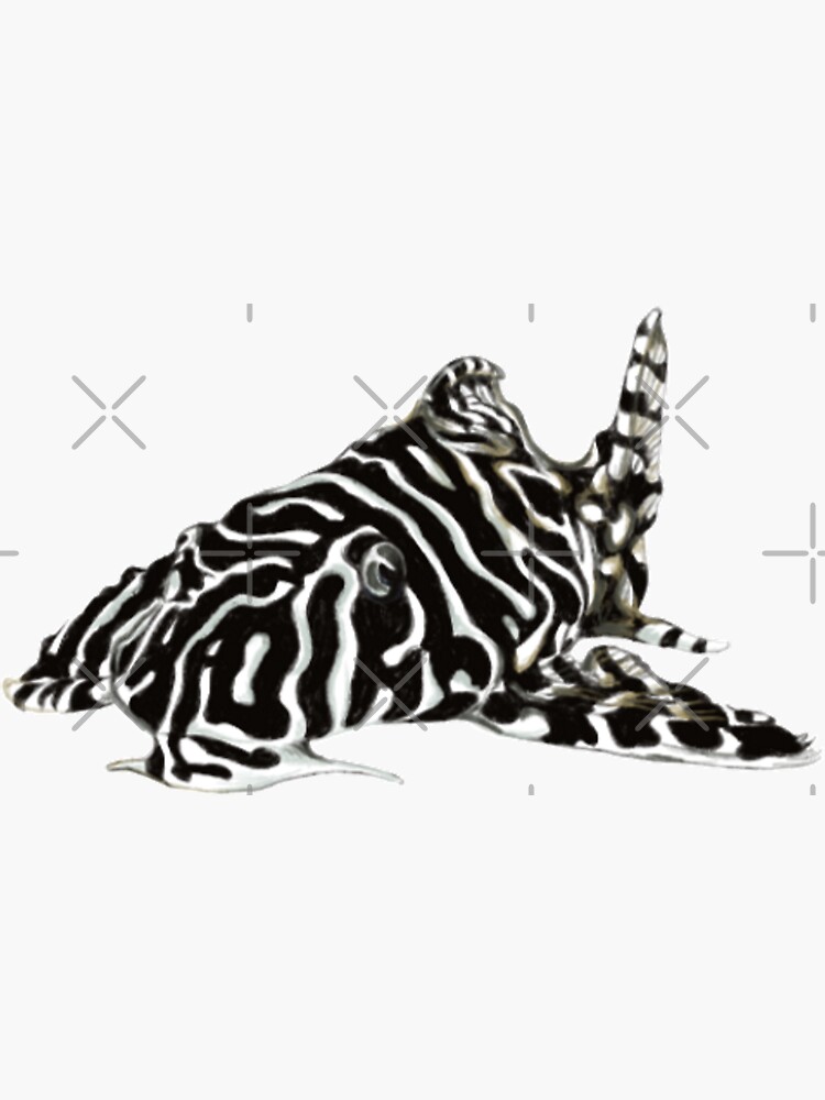 "L333 Pleco " Sticker for Sale by GFishy | Redbubble