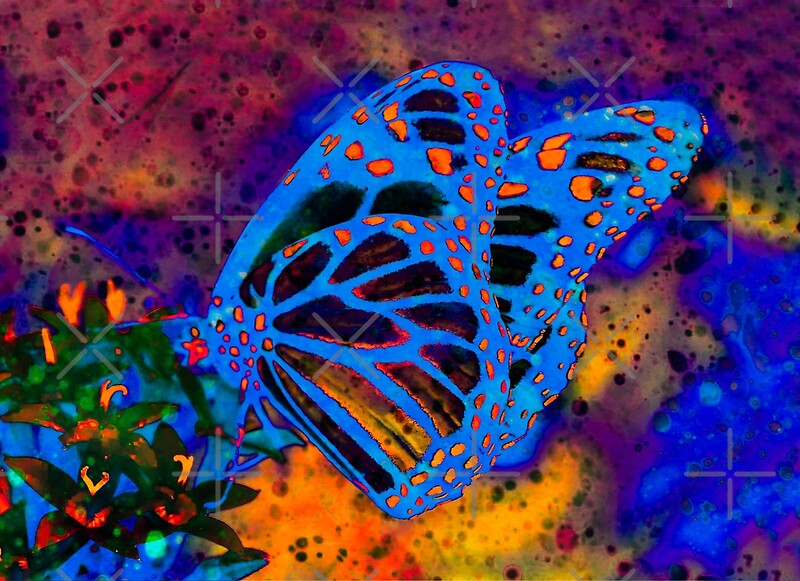"Midnight Butterfly on Planet Zorg" by Heather Friedman | Redbubble
