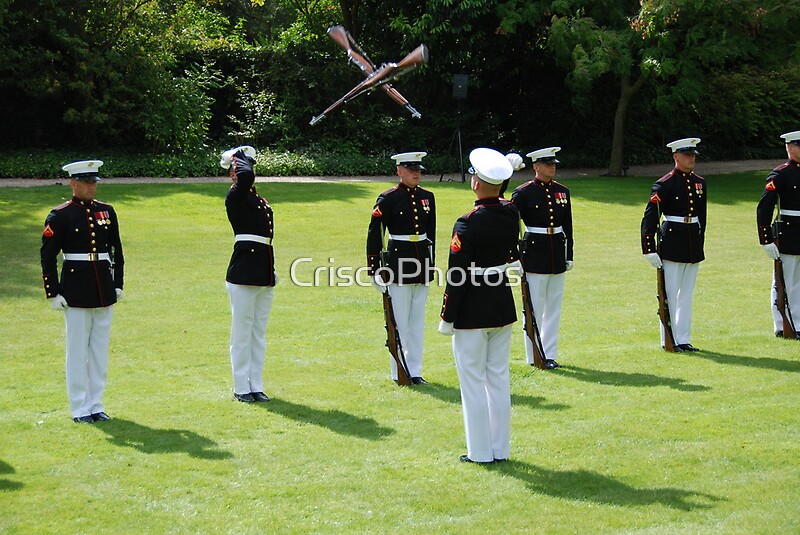 "Serious Concentration and Precision!" by CriscoPhotos | Redbubble