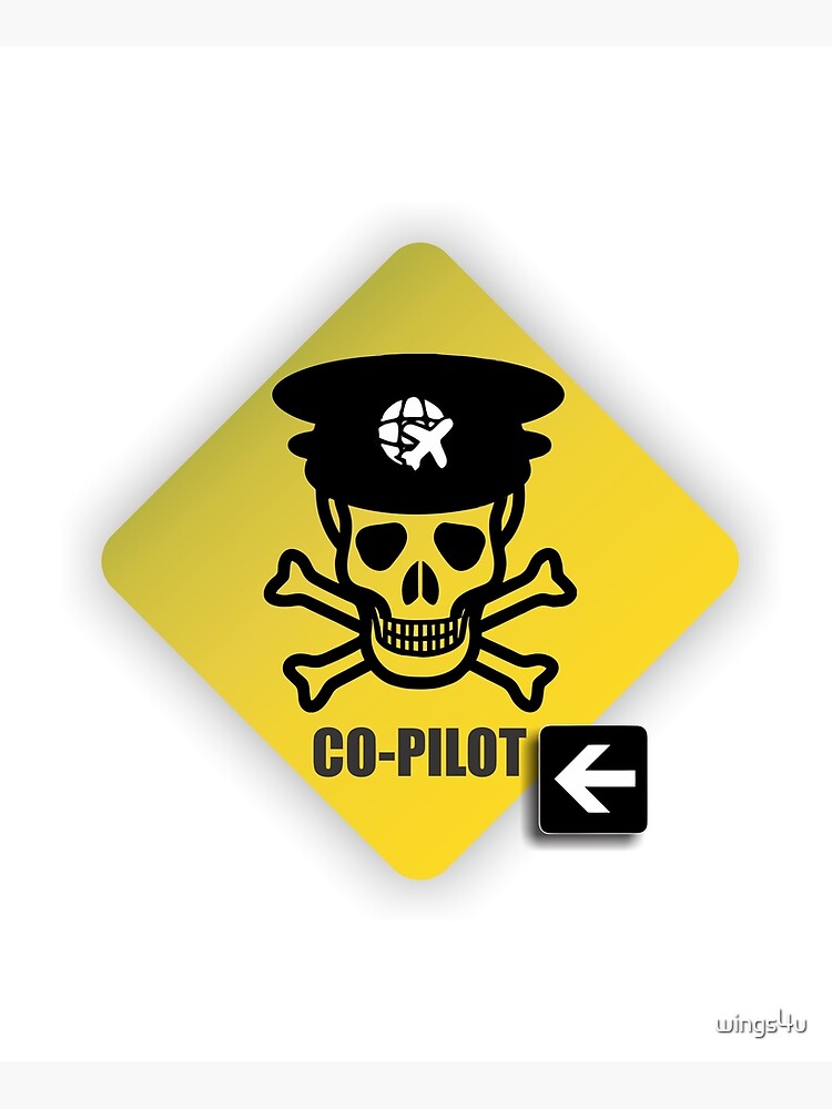 "Model 23 - Warning Co-Pilot" Poster for Sale by wings4u | Redbubble