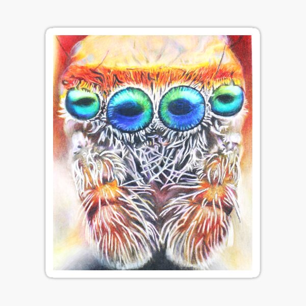 "Spider Art, Realistic Jumping Spider" Sticker for Sale by kitslam ...