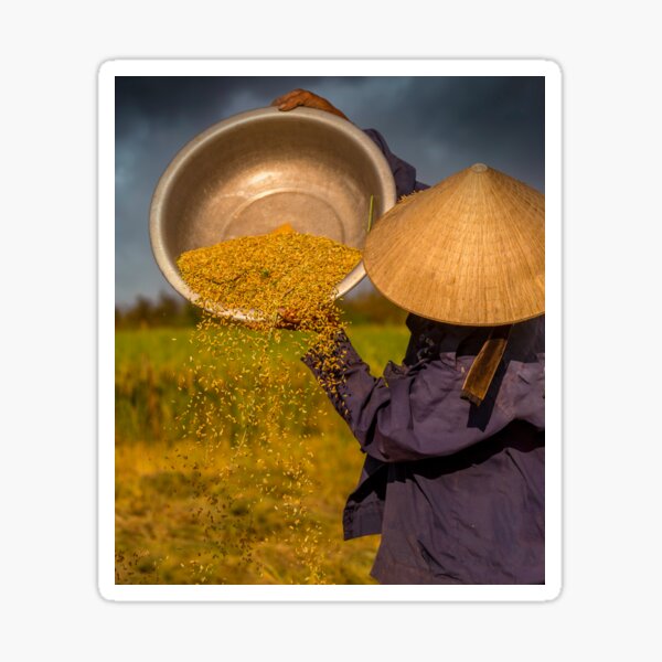 "Vietnamese farmer " Sticker for Sale by dags | Redbubble