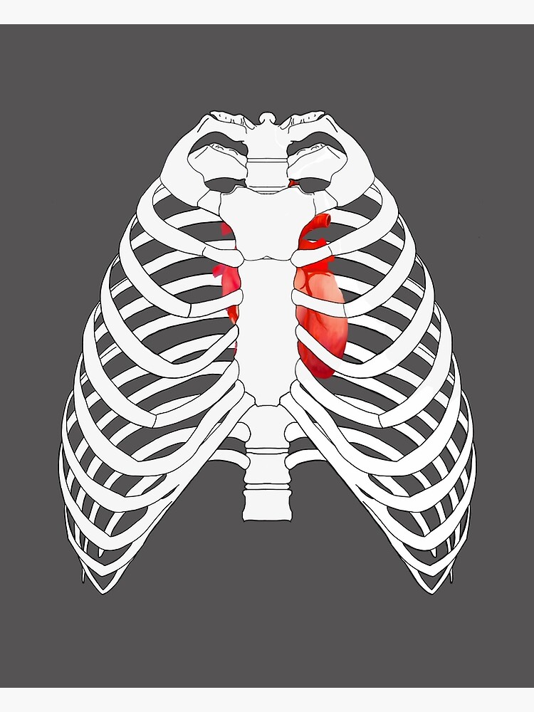 "Heart in Rib Cage" Poster for Sale by TwoThree | Redbubble