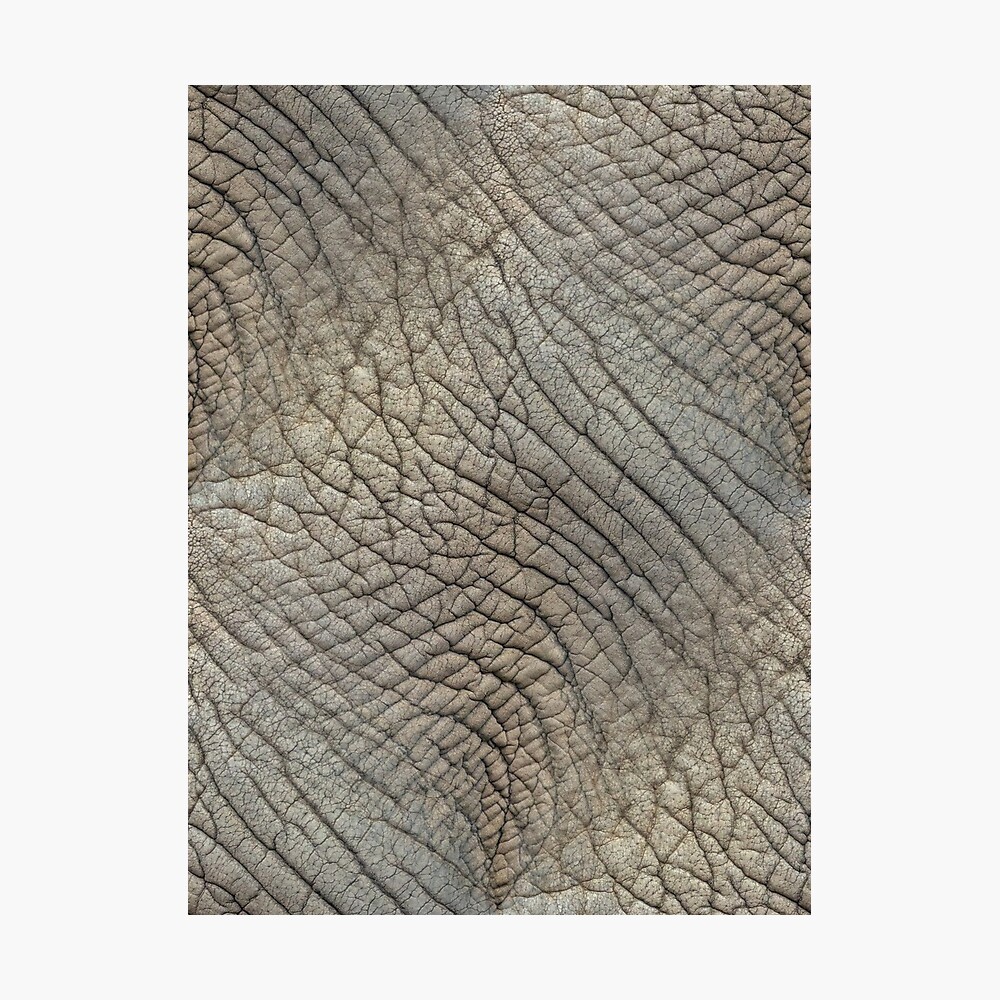 Elephant Skin Pattern