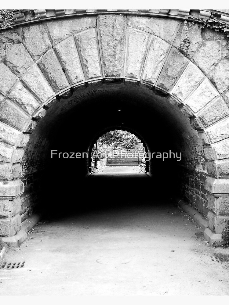 "Inscope Arch, Central Park" Poster by mjdorn | Redbubble