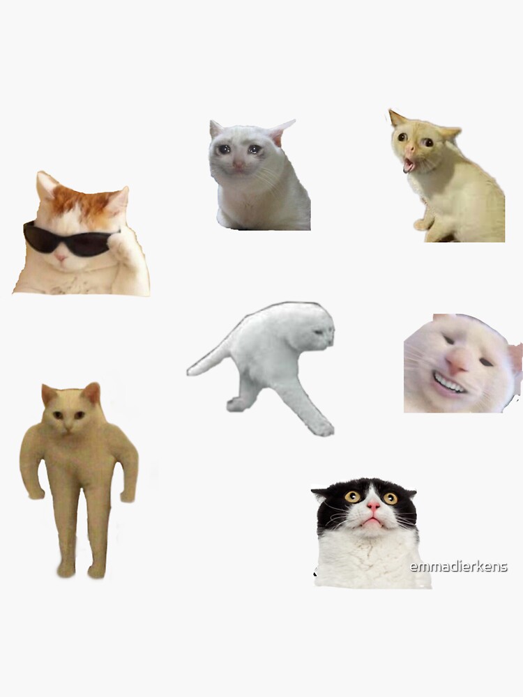 "Cat memes sticker pack" Sticker for Sale by emmadierkens | Redbubble