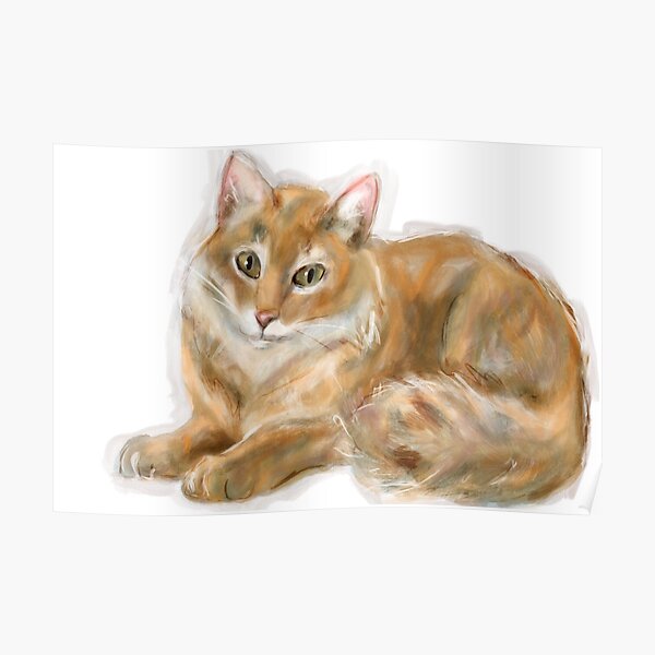 "Fluffy" Poster for Sale by sammilee93 | Redbubble