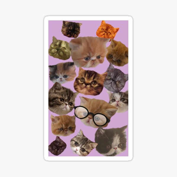 "Kitten Fever Pink" Sticker for Sale by ArtfulSoules | Redbubble