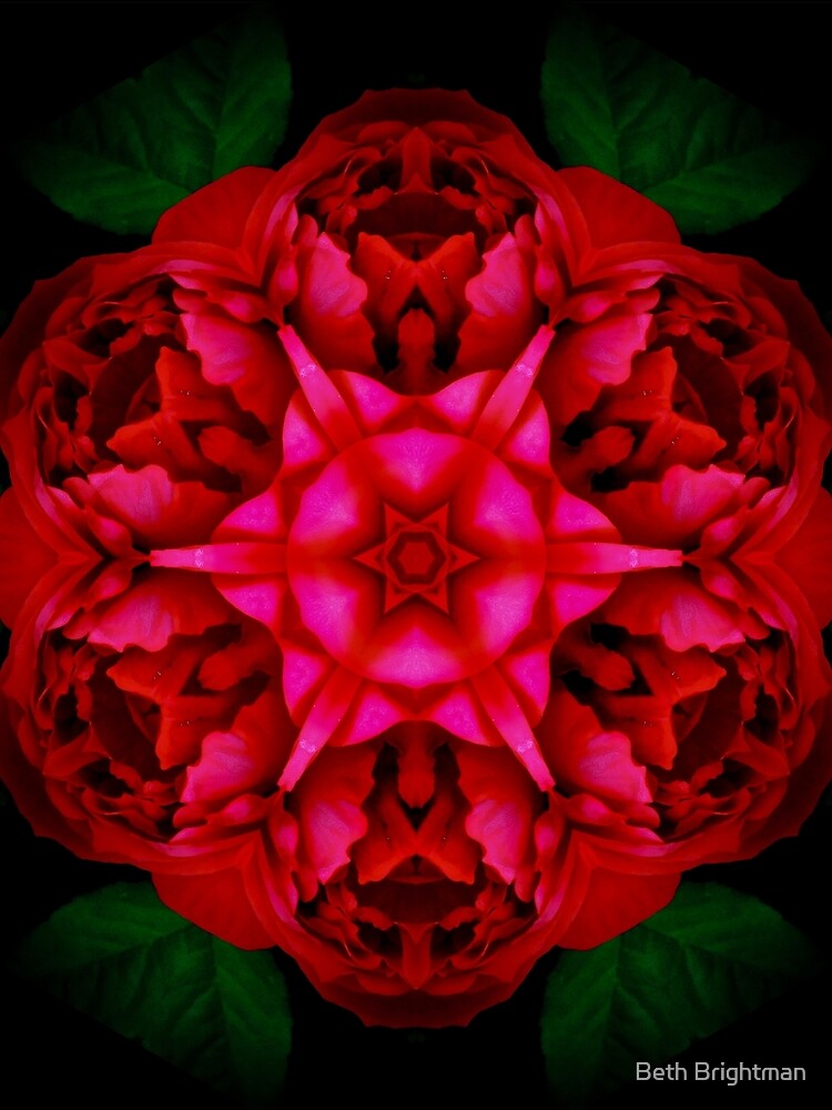 "Red Rose Kali" T-shirt by BBrightman | Redbubble