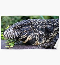 Predator: Posters | Redbubble