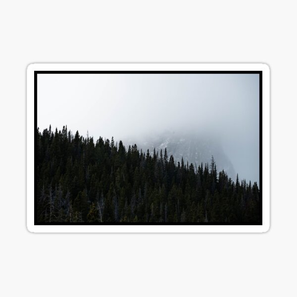 "Forest mist" Sticker for Sale by DAPUD | Redbubble