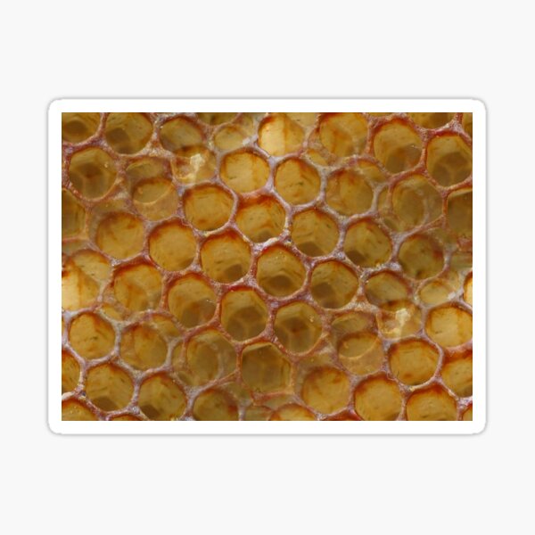 "Seamless Honeycomb" Sticker for Sale by VikingVisual | Redbubble