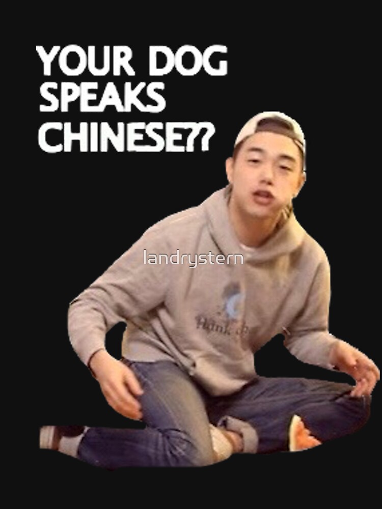 "ERIC NAM YOUR DOG SPEAKS CHINESE" T-shirt by landrystern | Redbubble