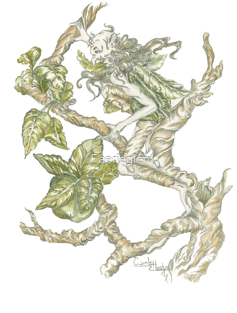 "Apple tree faerie" by Faerieglen | Redbubble