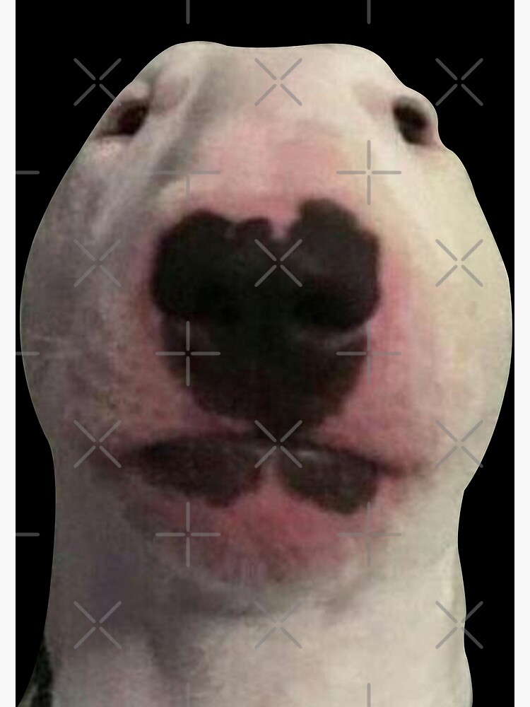 "Staring Forward Dog Meme" Poster by artsylab | Redbubble