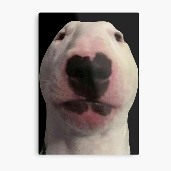 "Staring Forward Dog Meme" Metal Print for Sale by artsylab | Redbubble