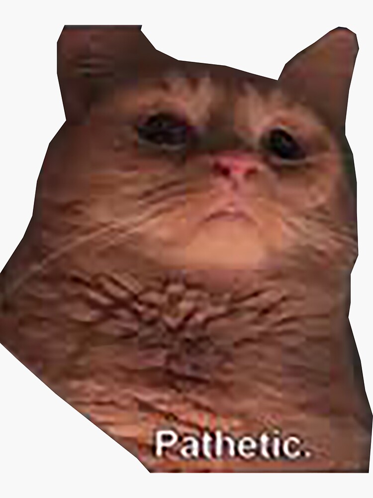 "Cat 'Pathetic'" Sticker for Sale by Danknesshazard | Redbubble
