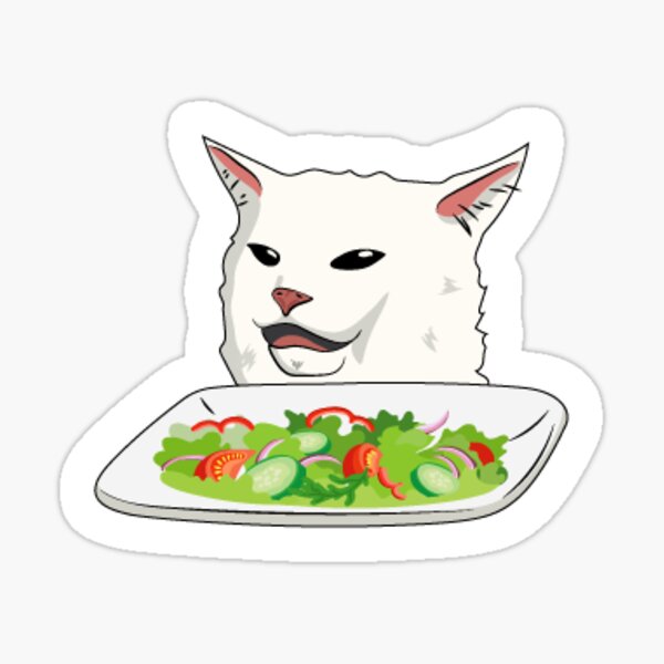 "Confused Cat" Sticker by Abdul-Idrees | Redbubble