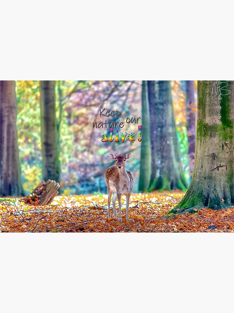 " Fallow deer doe" Sticker by mibedo | Redbubble