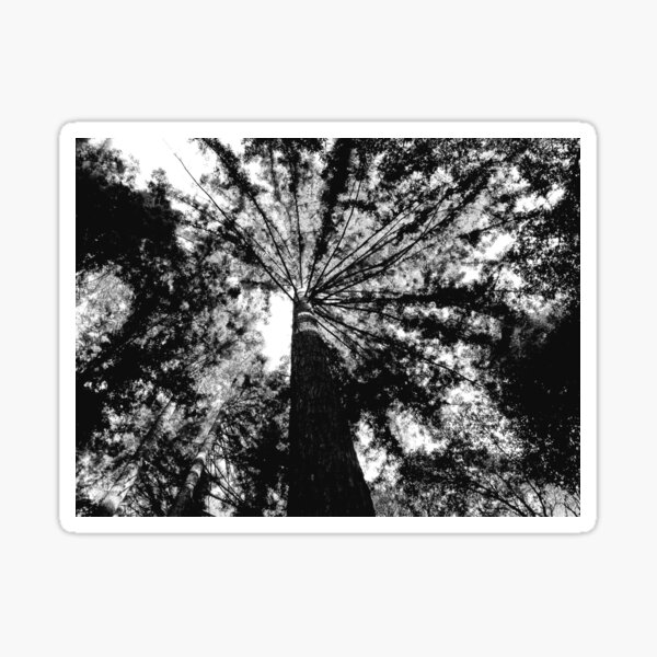 "Vertical Canopy" Sticker by schaas | Redbubble