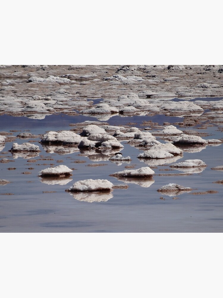 "Salt patch" Poster for Sale by DianaC | Redbubble