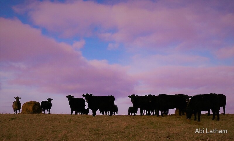 "Heard of Cows" by Abi Latham | Redbubble