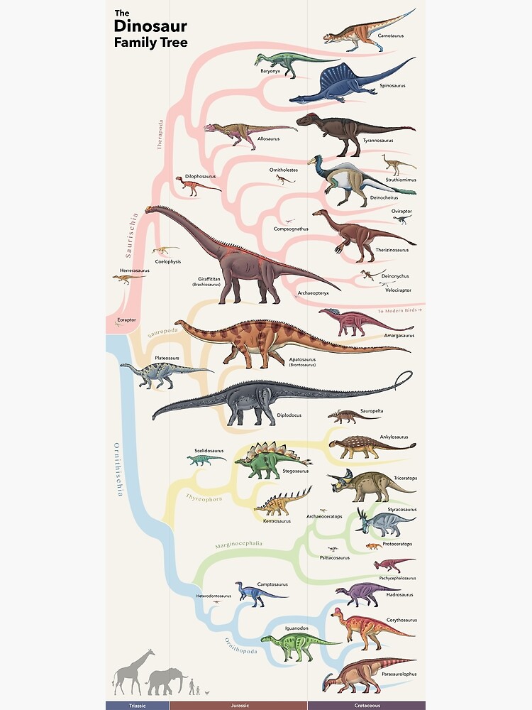 Dinosaur Family Tree Premium Matte Vertical Poster Designed Sold By