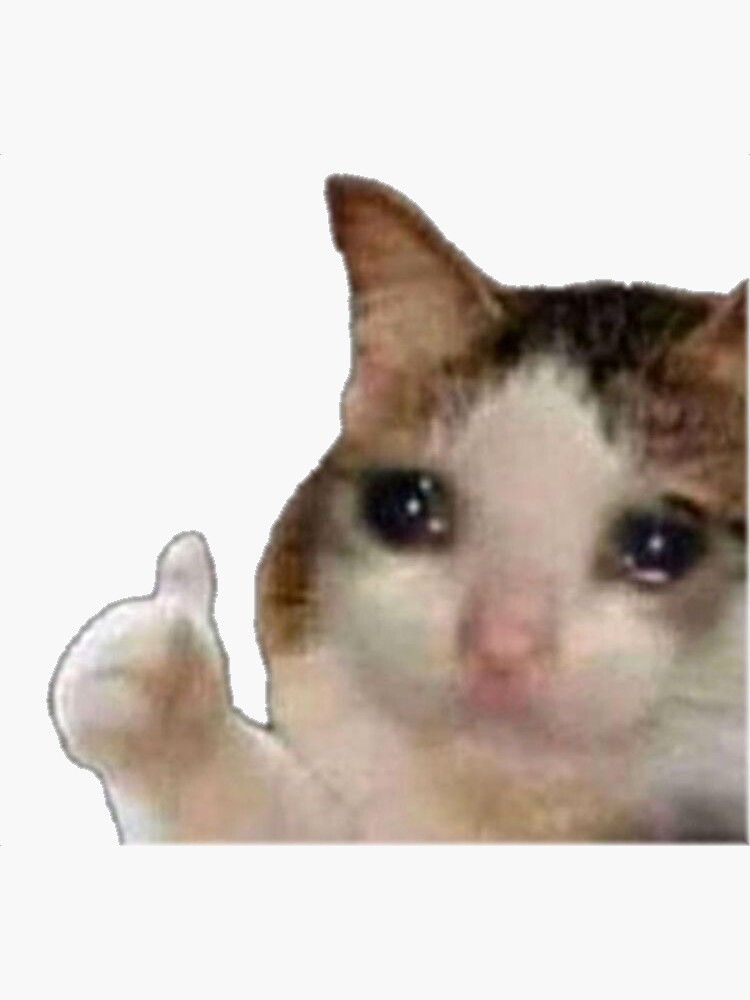 Gatito Llorando Gatito Que Llora De Emoción Al Oír A Su Dueña Se