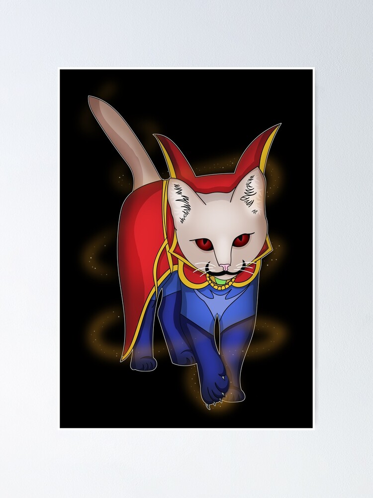 Póster «Doctor Strange Cat Imprimir» de tamikalee1 | Redbubble