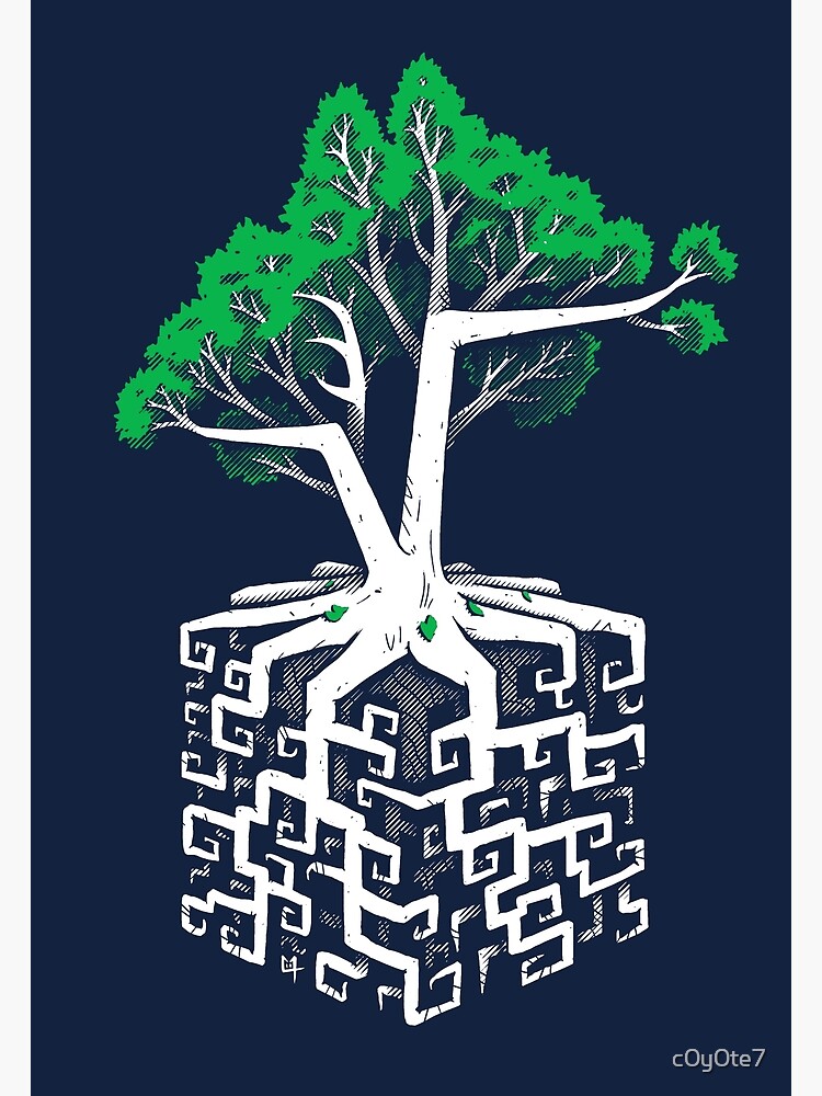  Cube Root Canvas Print By C0y0te7 Redbubble
